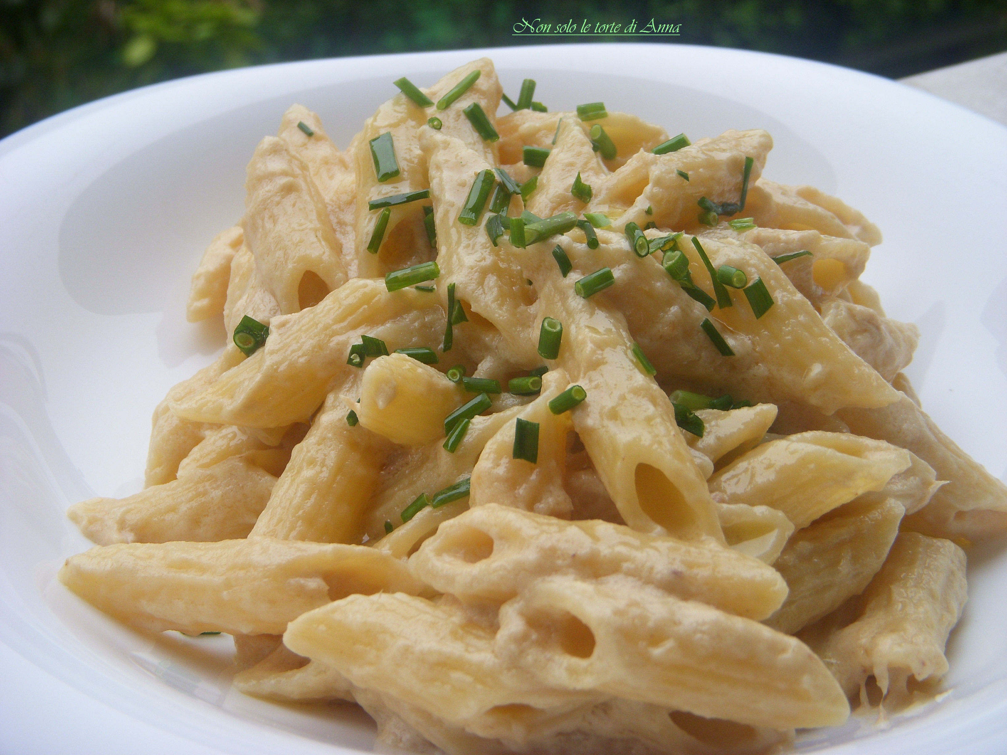 PASTA CORTA E SPUMA DI TONNO E RICOTTA
