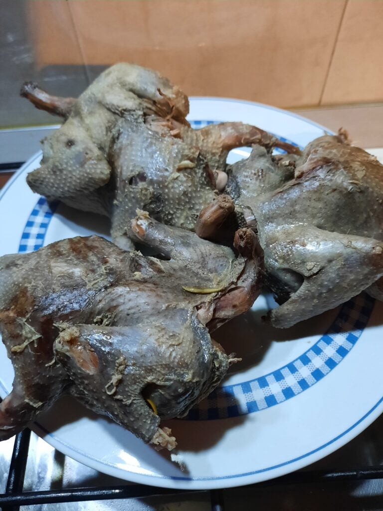 Tagliatelle al ragù di colombaccio - Blog di atavolaconantonella1971