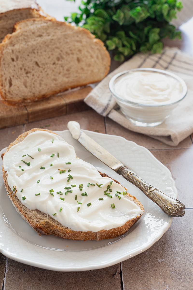 Formaggio spalmabile fatto in casa con yogurt la ricetta per non ...