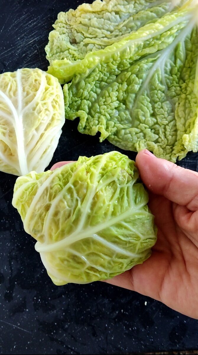 Involtini di verza al forno gustosi, saporiti e semplici da preparare