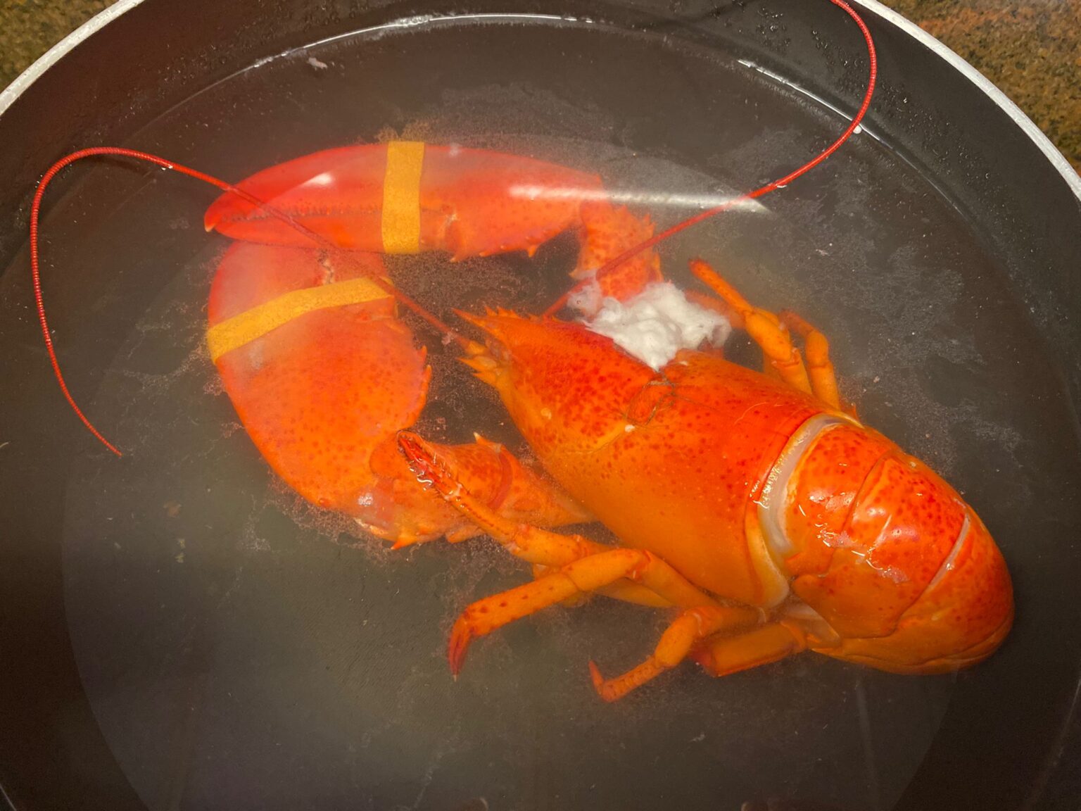 LINGUINE ALL'ASTICE - ricetta con pomodorini