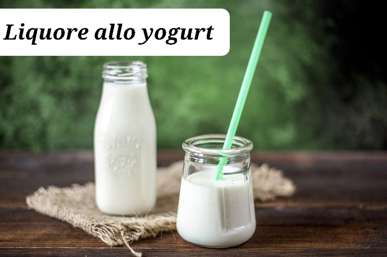 Liquore allo yogurt - Menta e Cannella