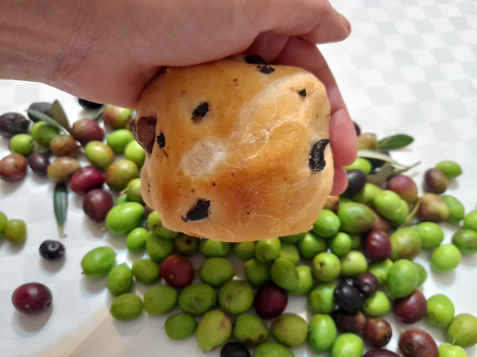Bocconcini di pane alle olive: ricetta sarda blog.giallozafferano.it ...