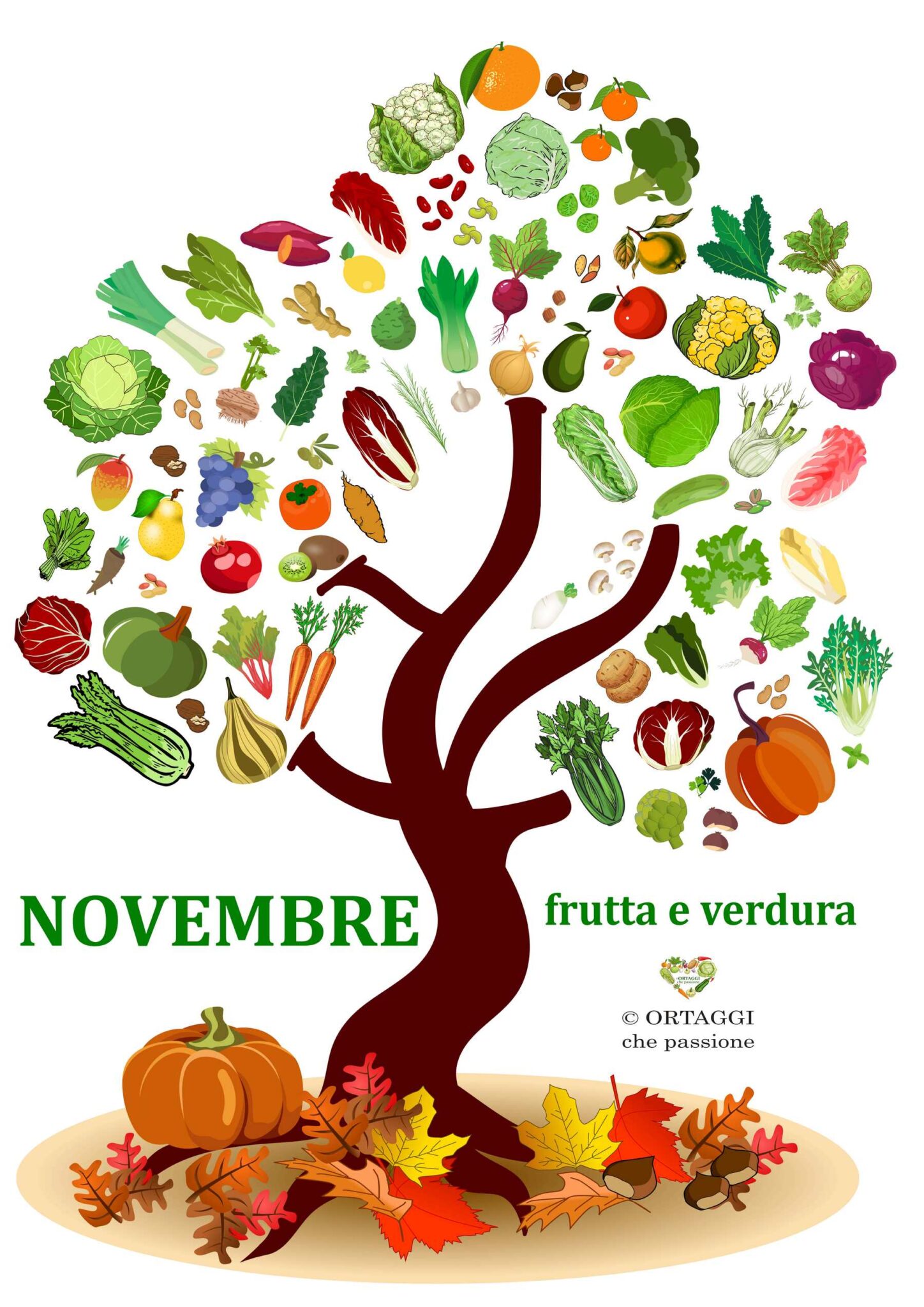 Frutta invernale - agrumi e frutta a guscio | ORTAGGI che passione
