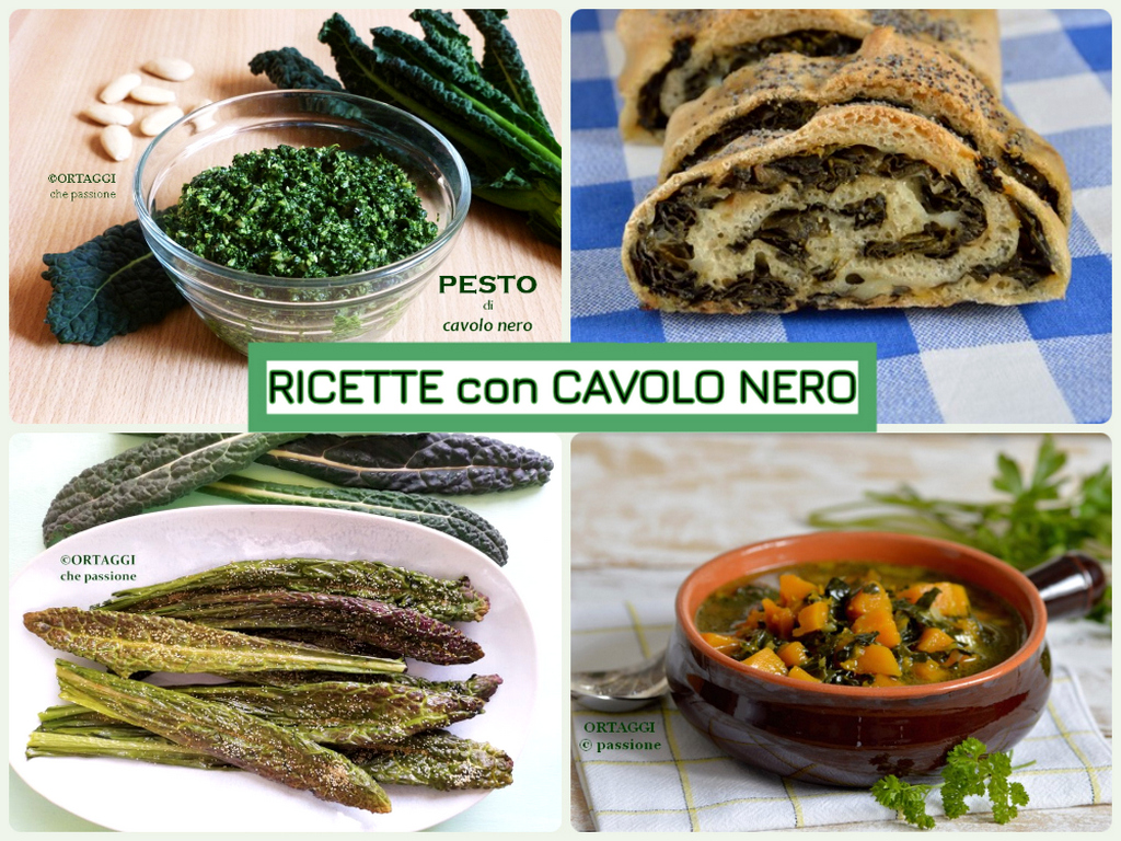 Cavolo nero RICETTE | ORTAGGI che passione