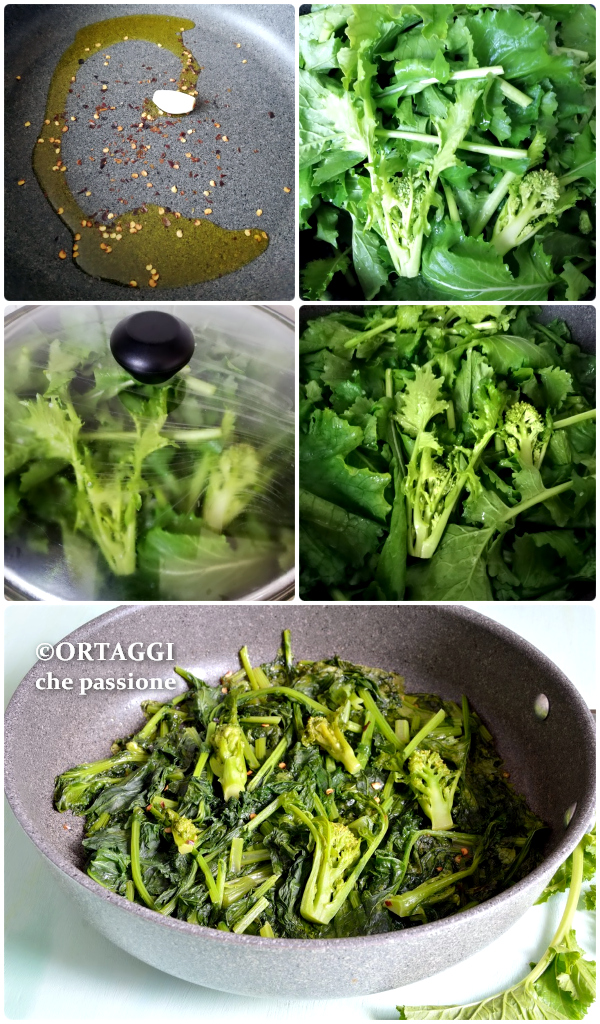 Cime di rapa - RICETTE | ORTAGGI che passione