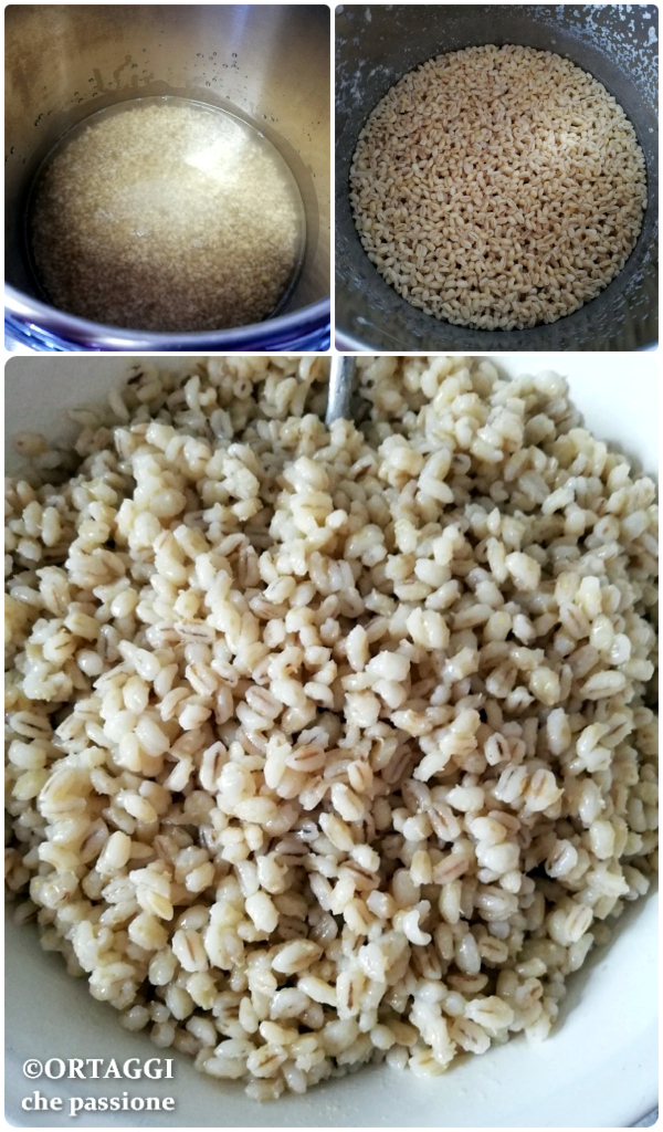 Orzo in pentola a pressione | ORTAGGI che passione