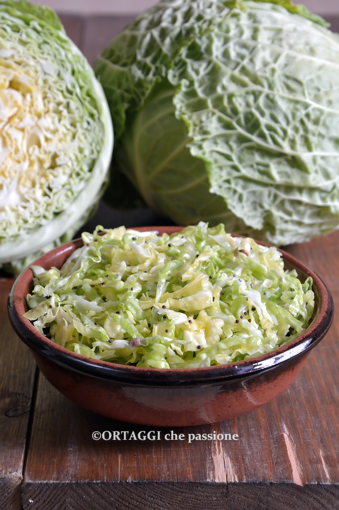 Verza in insalata - 8 idee gustose | ORTAGGI che passione