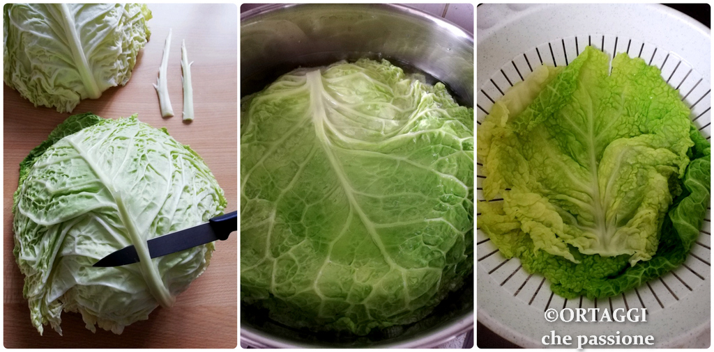 Involtini di verza semplici - ricetta passo passo | ORTAGGI che passione
