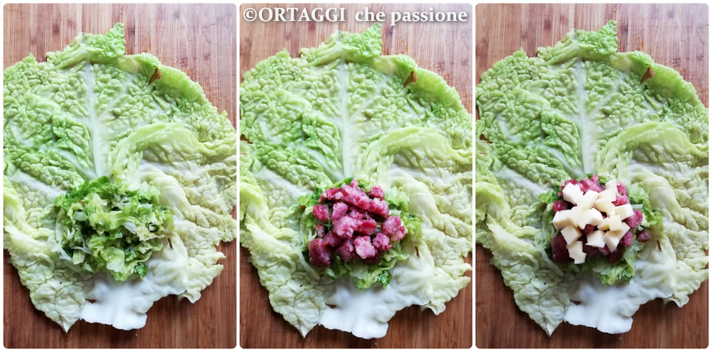 Involtini di verza semplici - ricetta passo passo | ORTAGGI che passione