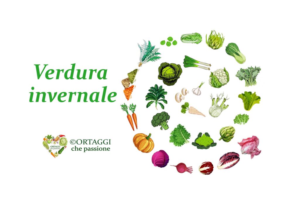 Verdura invernale - elenco e ricette | ORTAGGI che passione