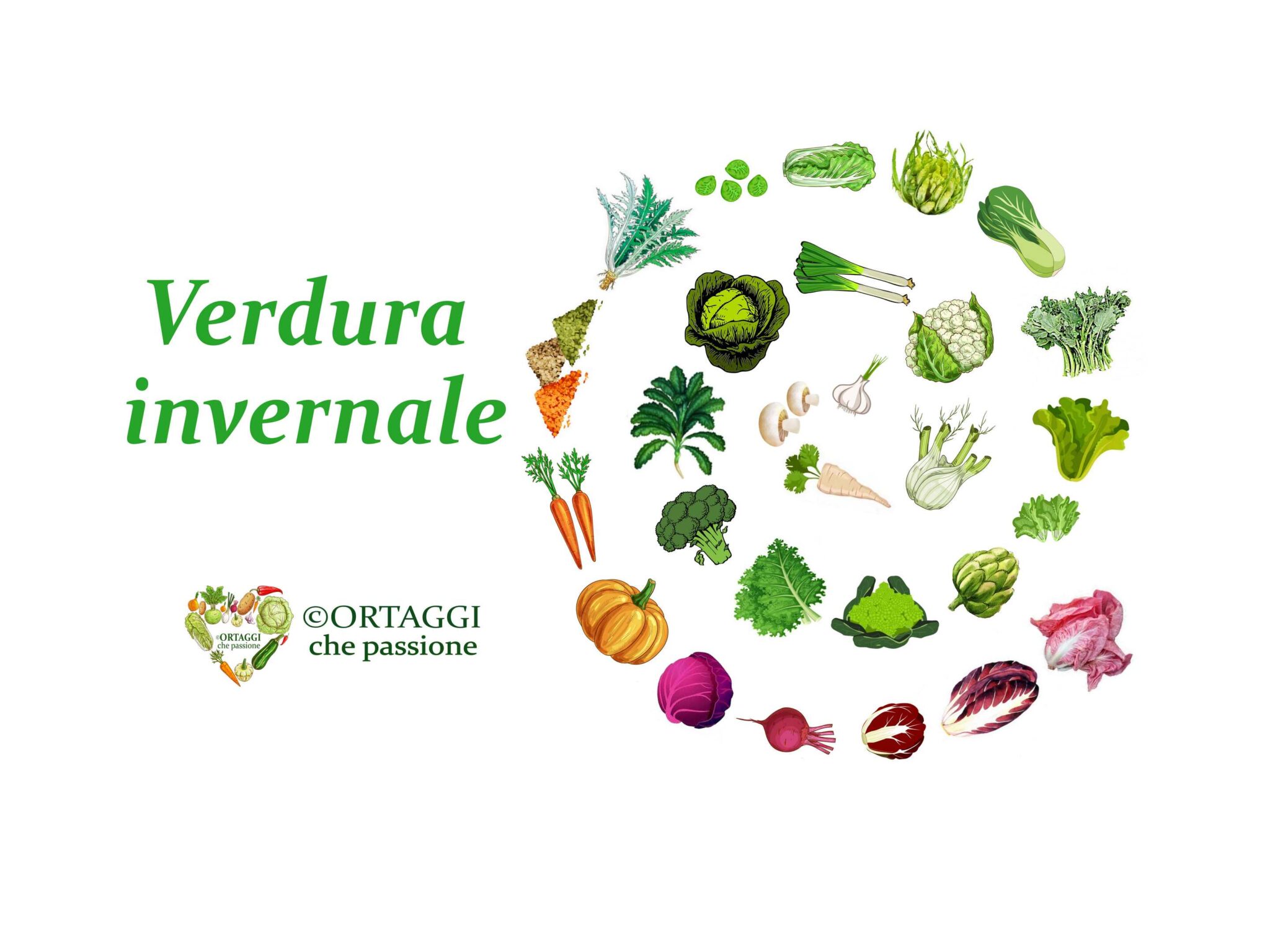 Verdura invernale - elenco e ricette | ORTAGGI che passione