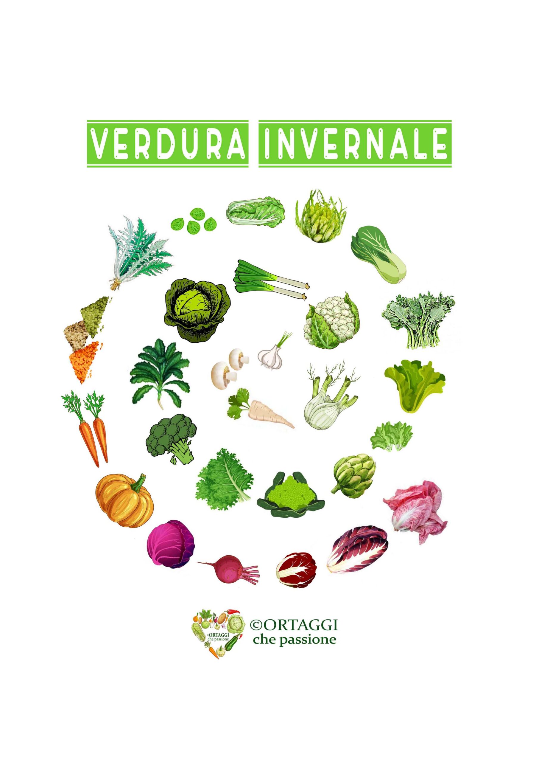 Verdura invernale - elenco e ricette | ORTAGGI che passione