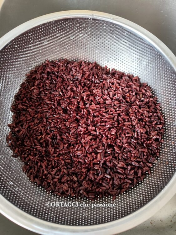 Riso nero Venere - tipi di cottura | ORTAGGI che passione