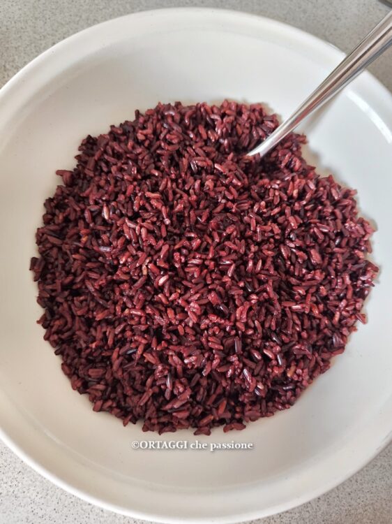 Riso nero Venere - tipi di cottura | ORTAGGI che passione