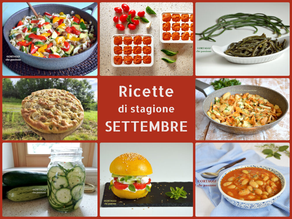 RICETTE con le verdure di stagione di SETTEMBRE | ORTAGGI che passione