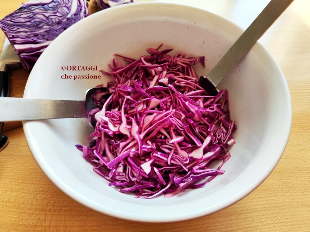Cavolo rosso in insalata crudo | ORTAGGI che passione