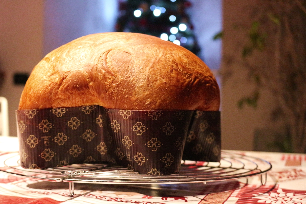Pandoro stella di Natale - Passione Cuoca