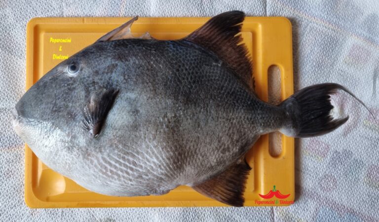 Balistes capriscus, pesce Porco, pesce Balestra | Peperoncini & Dintorni