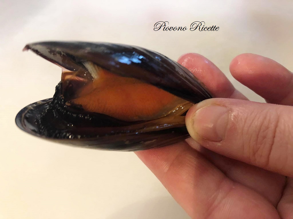 Cozze ripiene - la ricetta pugliese e tutti i consigli - Piovono Ricette