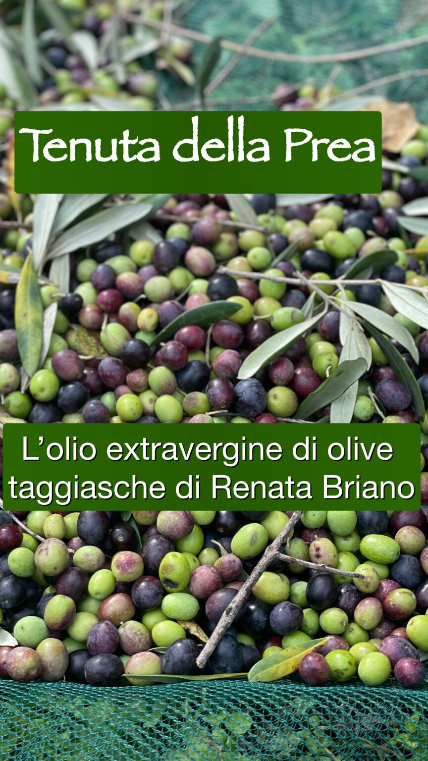 Le aguglie in umido sono un'antica ricetta ligure