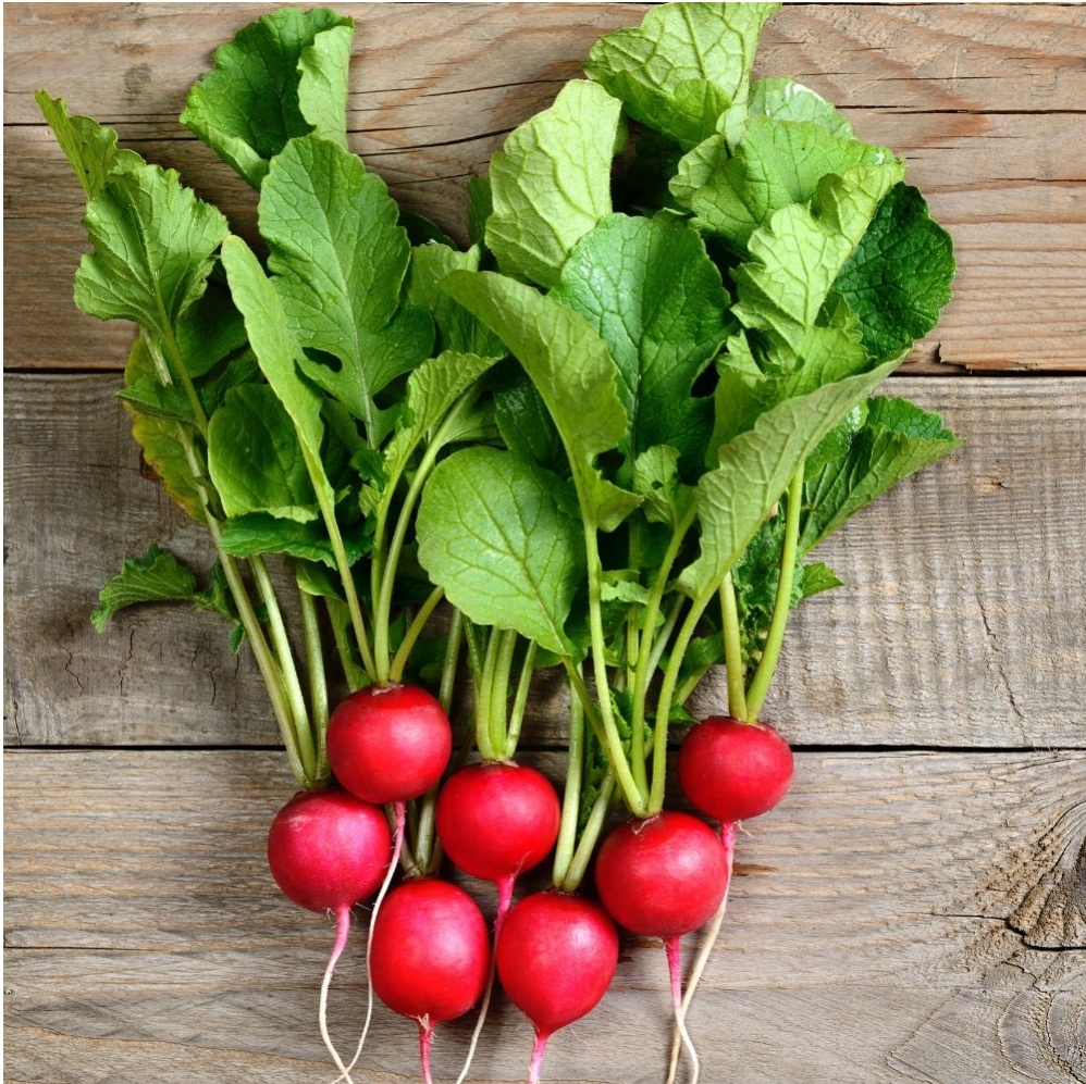Come utilizzare le foglie dei ravanelli - Le ricette di Rita Amordicucina