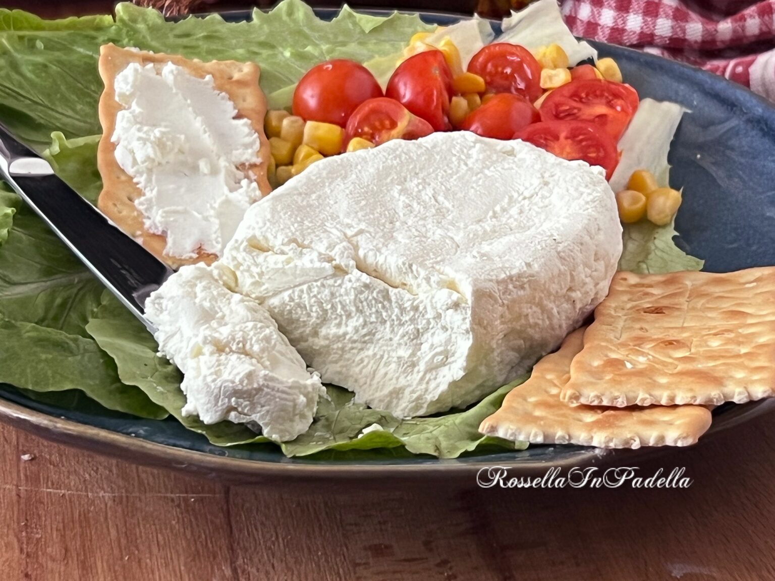 FORMAGGIO SPALMABILE FATTO IN CASA