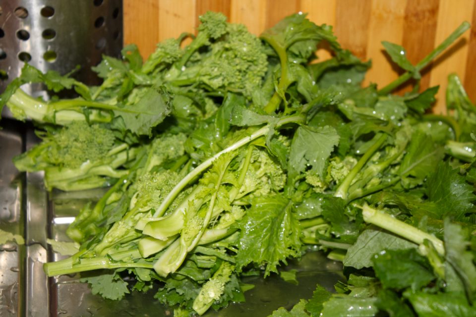 Cime di rapa stufate -ricetta pugliese- Life & blog