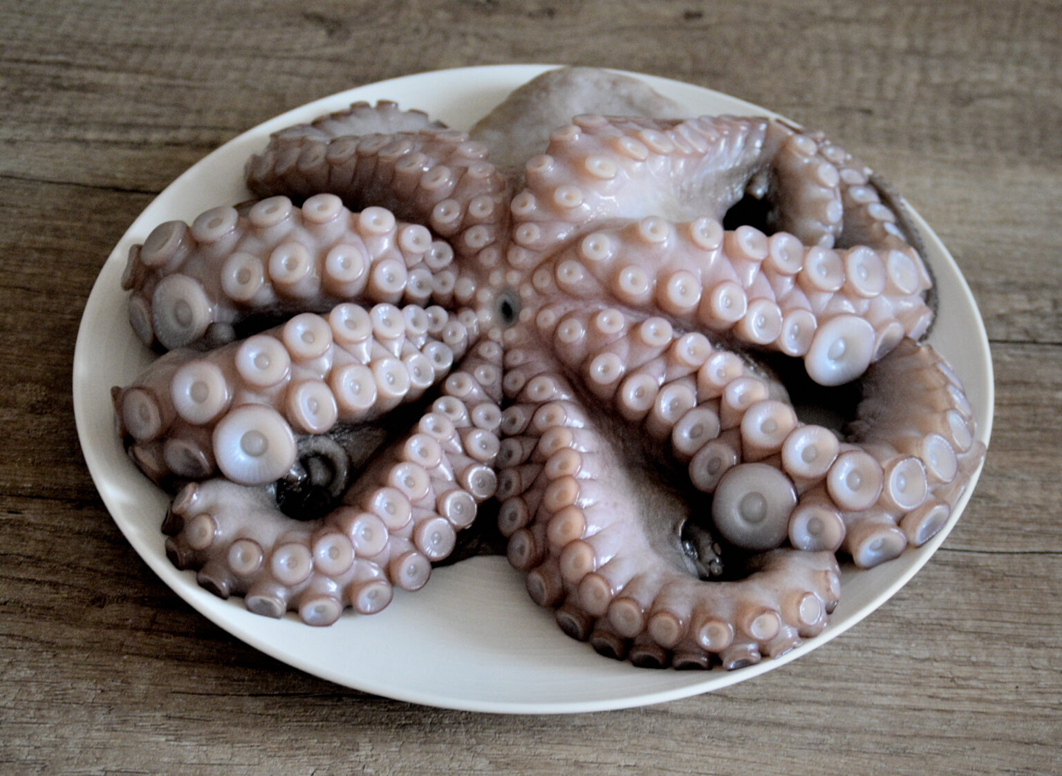 Polpo in padella delizioso: ricetta estiva per eccellenza