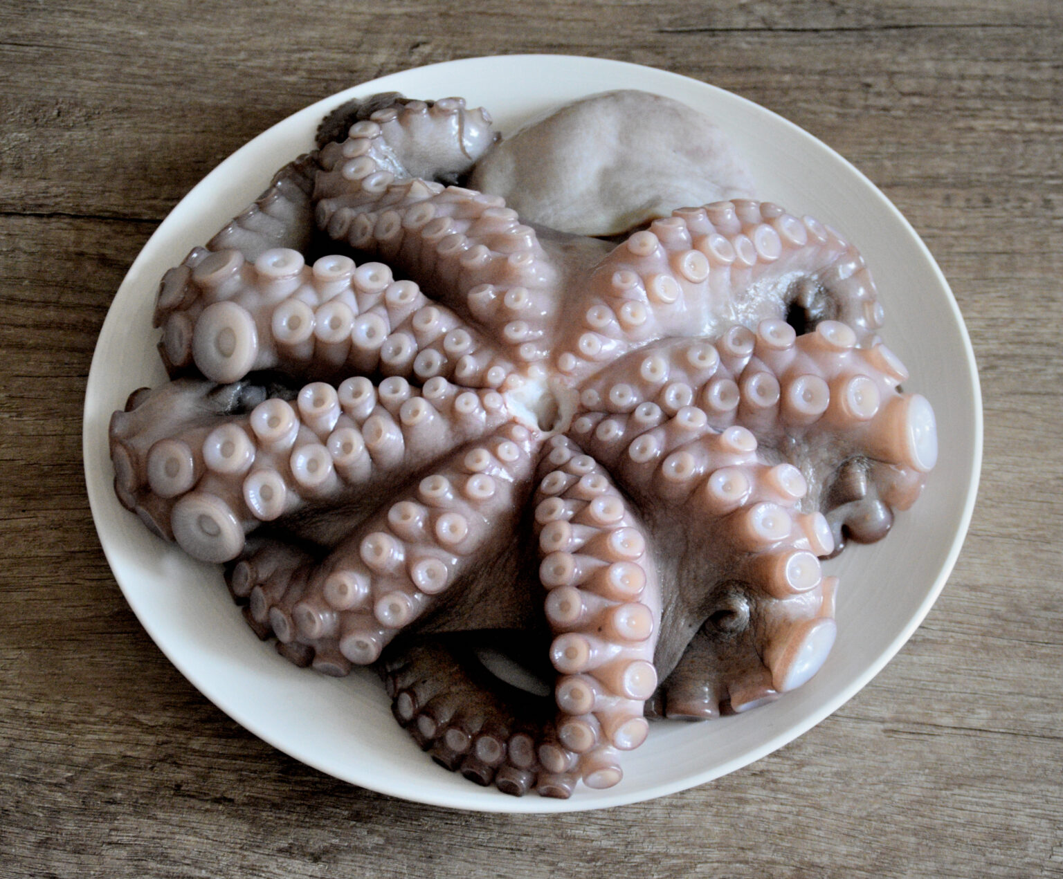 Polpo in padella delizioso: ricetta estiva per eccellenza