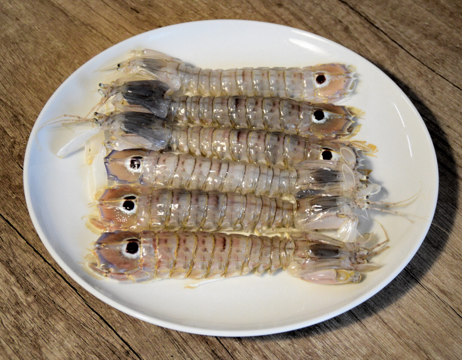 Canocchie in padella: cotte in 5 minuti. Ricetta delle cicale di mare