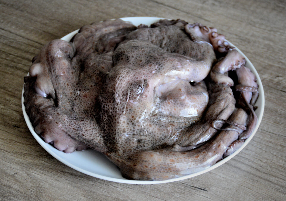 Polpo alla catalana: la ricetta estiva fresca, leggera e irresistibile