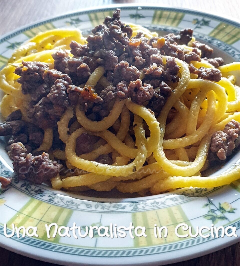 Bigoi co' l'arna - Bigoli col ragù d'anitra - Una Naturalista in Cucina