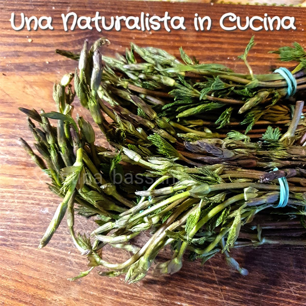 I bruscandoli - Una Naturalista in Cucina