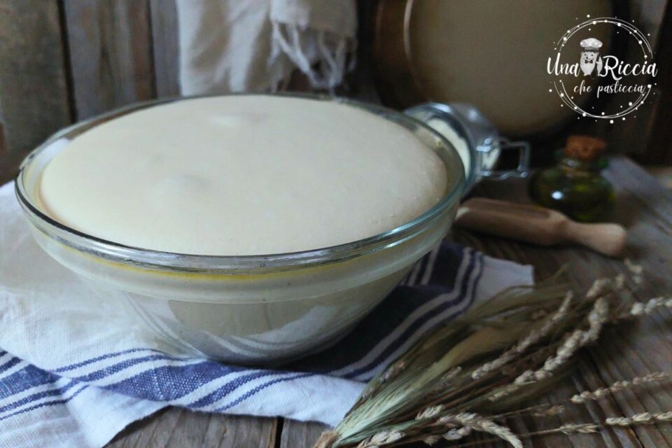 Impasto base per pizza in teglia, alla pala o al piatto - Una Riccia ...